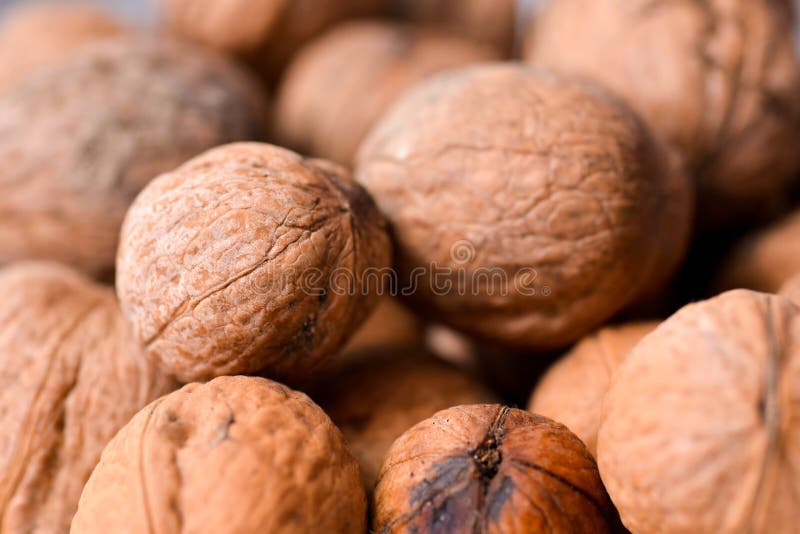 Nuts up close stock image. Image of nutrient, natural - 51528031