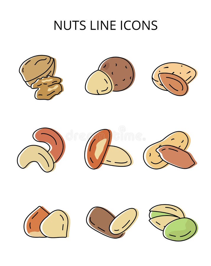 Nuts Vector Simple Illustration. Linear Objects Set Stock Vector ...