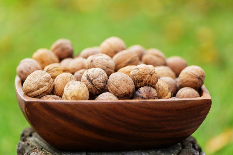 Man Touching a Social Media Network on a Touch Screen Stock Image ...