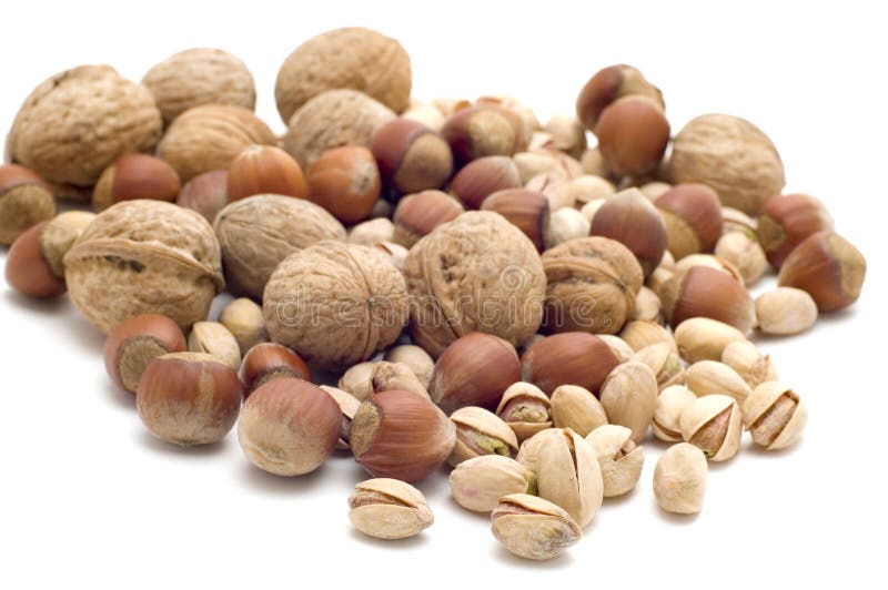 Nuts on white stock image. Image of white, genus, close - 5609427