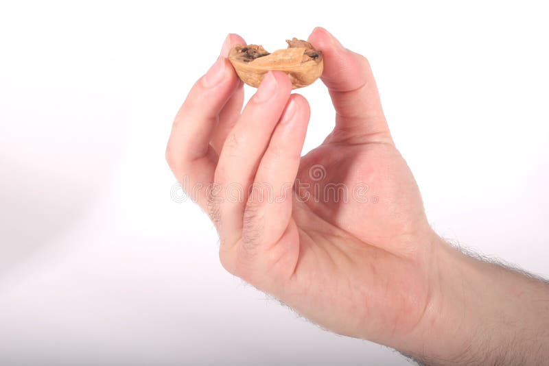 In a Nutshell #2 stock photo. Image of food, nutshell - 2291714