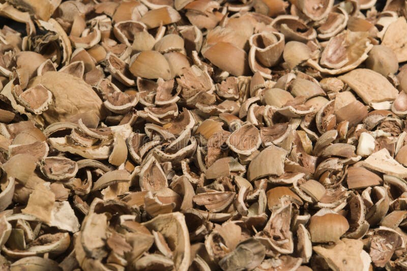 Nutshell background stock image. Image of wallpaper, frame - 35129743