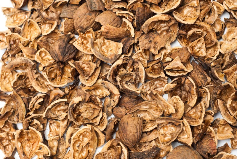 Nutshell background stock image. Image of wallpaper, frame - 35129743