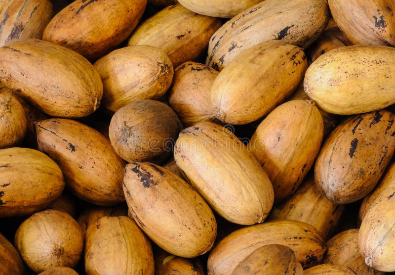 Nutshell stock image. Image of food, dried, agriculture - 84543673