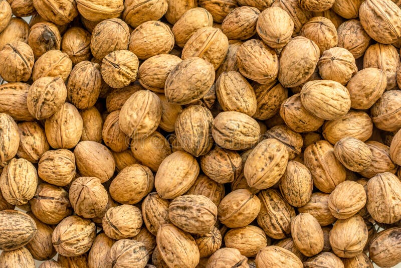 Nutshells stock image. Image of nature, potpourri, brown - 16990451