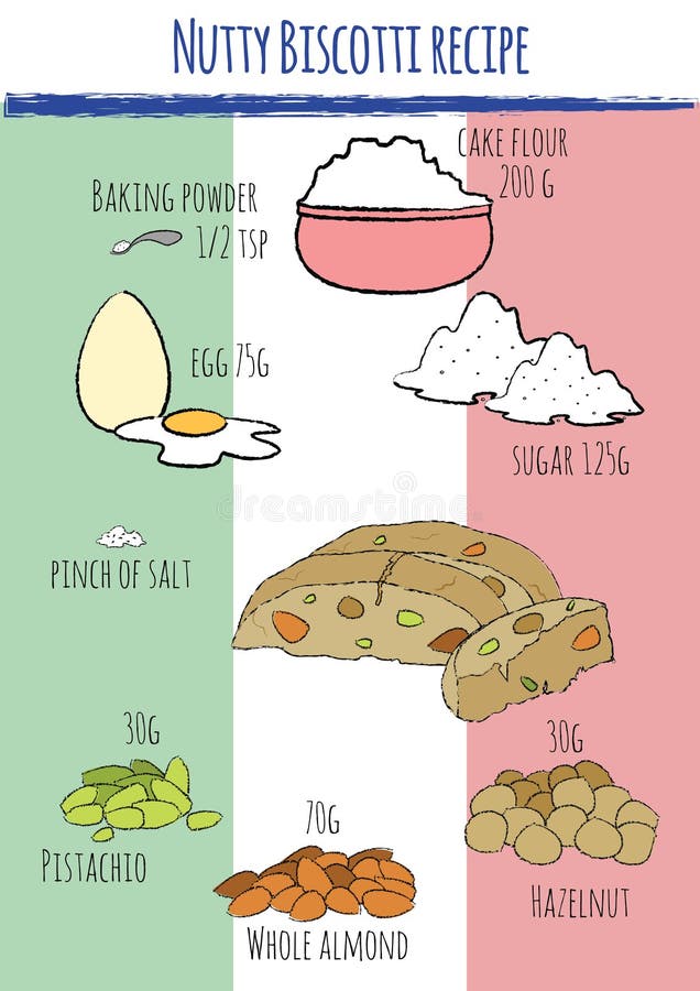 Nutty Biscotti stock vector. Illustration of arts, hazelnut - 40061755