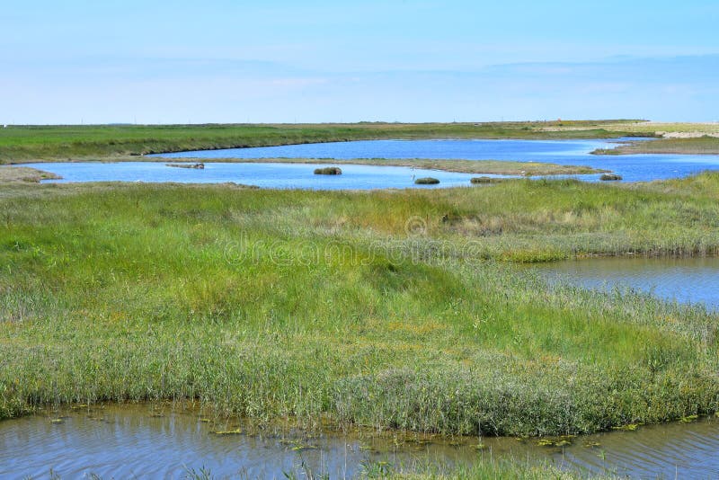 NWT Cley Marshes, Norfolk, England Stock Image - Image of norfolk, next ... NWT Cley Marshes, Norfolk, England Stock Image - Image of norfolk, next ...