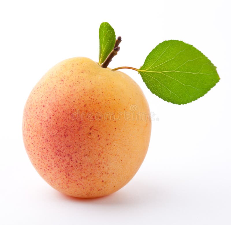 Ny aprikos arkivfoto. Bild av makro, vitt, nytt, frukter - 100985156