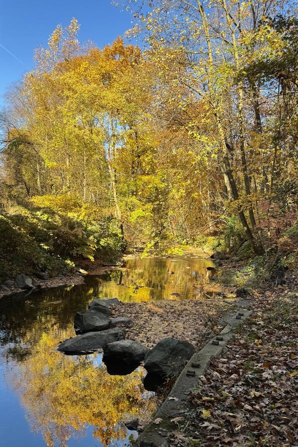 Colorful Autumn Foliage in Bronx River Parkway Reservation in New York ...