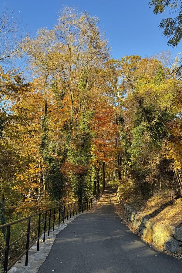 Colorful Autumn Foliage in Bronx River Parkway Reservation in New York ...