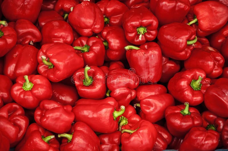 Ny röd paprika arkivfoto. Bild av skörd, produktion, falla - 26578558