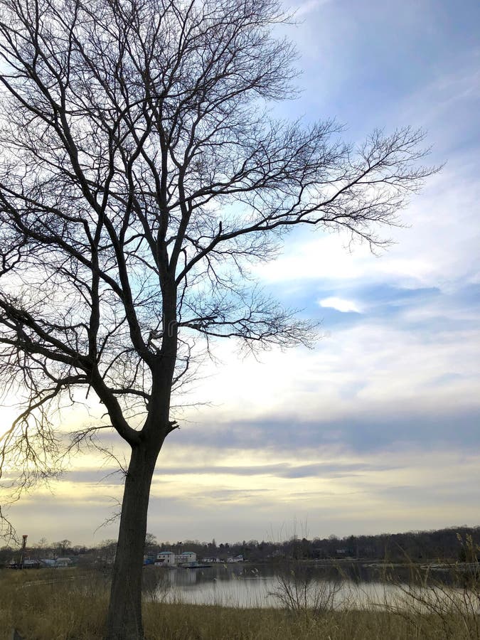 Sunset at Edith G Read Wildlife Sanctuary in Rye, New York Stock Photo ...