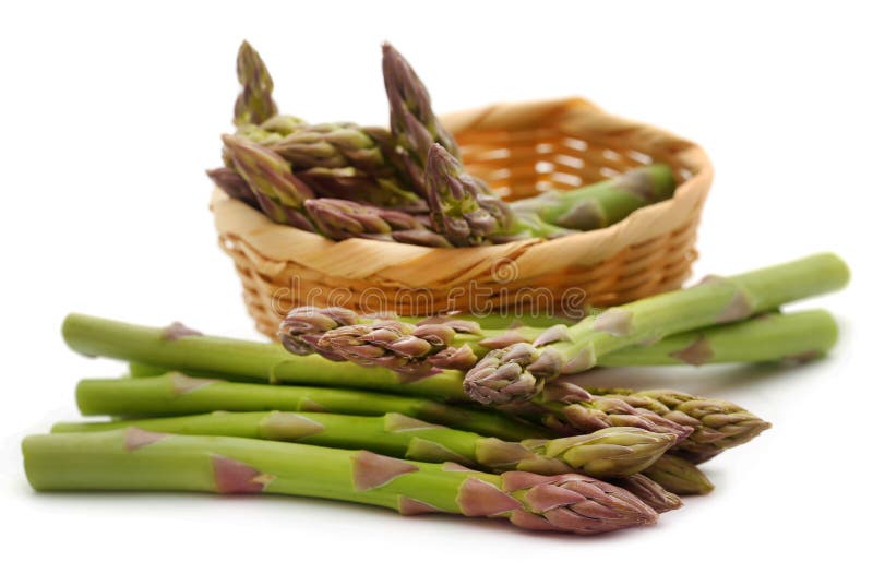 Ny sparris fotografering för bildbyråer. Bild av korgar - 105590673