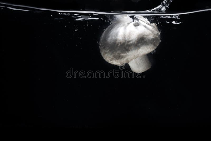 Ny Vit Champinjon Som Plaskar in I Vatten Fotografering för Bildbyråer ...