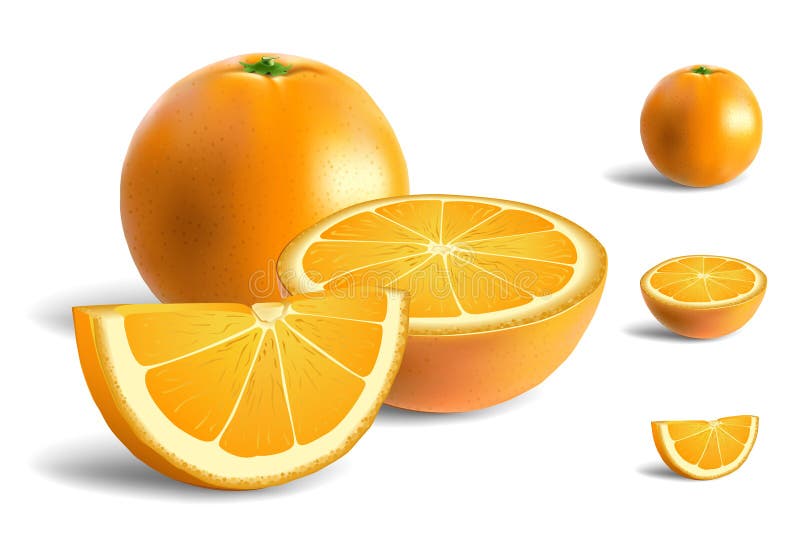 Nya Apelsiner Frukt, Stycken Av Apelsinen Realistiska Apelsiner, Vektor ...