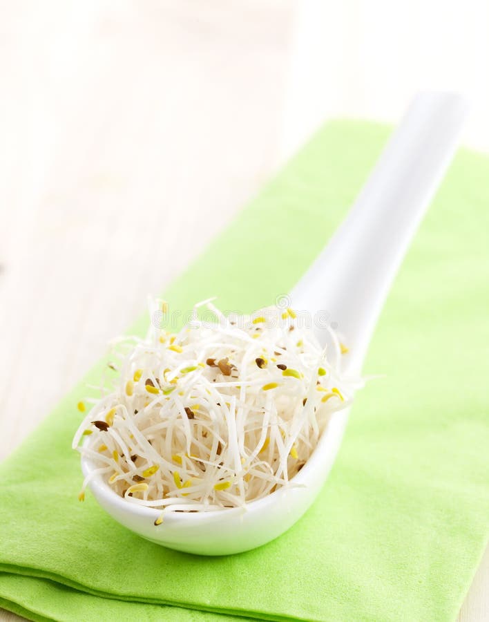 Alfalfagroddar arkivfoto. Bild av löv, grönsak, sallad - 114342904