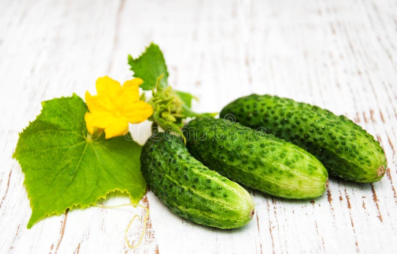 Nya gurkor fotografering för bildbyråer. Bild av grönsaker - 57147667