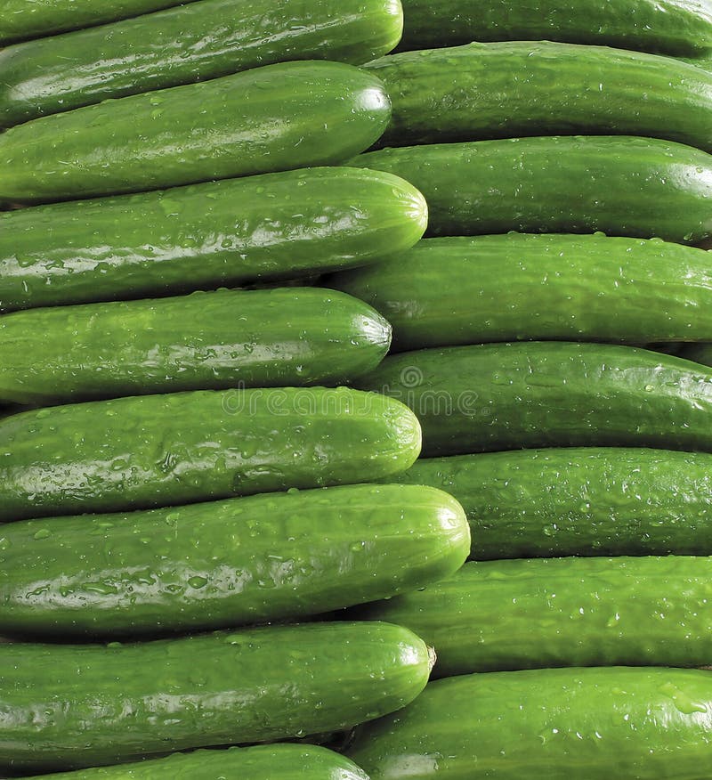 Gurkor arkivfoto. Bild av detaljhandel, gurka, hög, marknad - 5765674