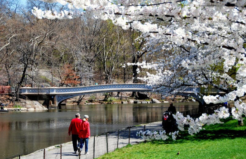 NYC: Bow Bridge in Central Park Editorial Stock Photo - Image of ...