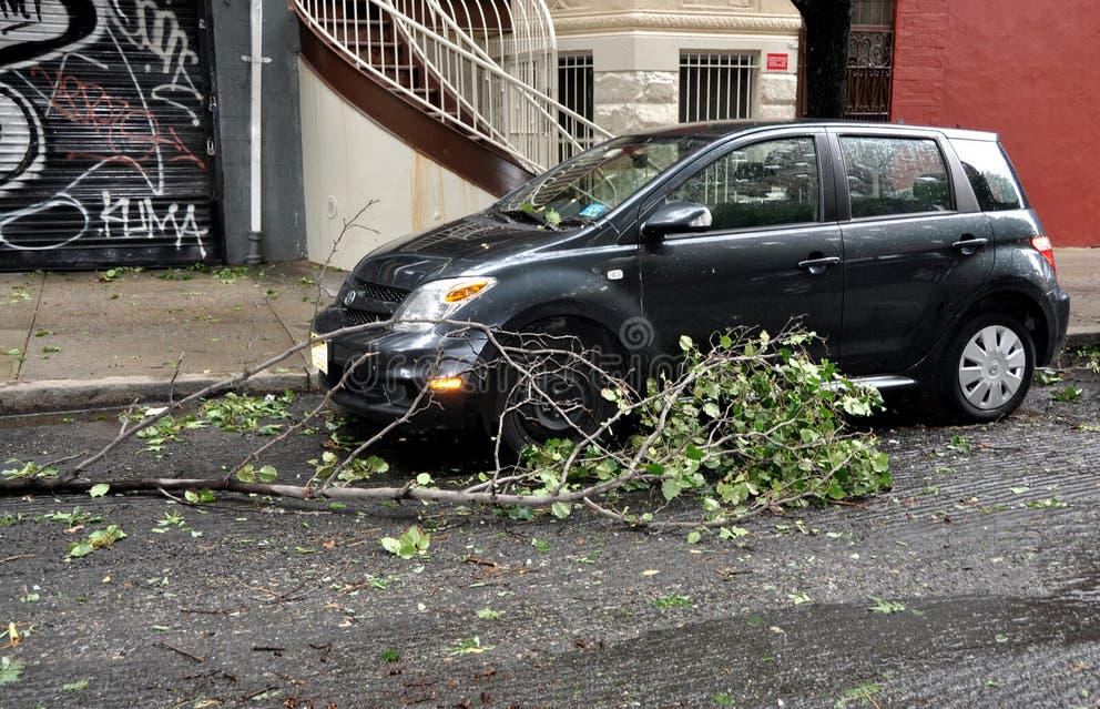 NYC: Downed Tree Branch from Hurricane Irene Editorial Image - Image of ...