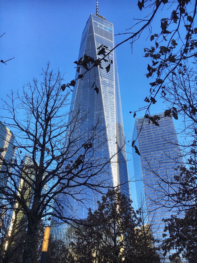 NYC sky high stock photo. Image of trees, buildings - 127859198