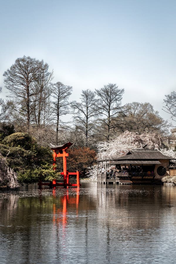 NYC Spring at the Old Japanese Garden in Brooklyn Stock Photo - Image ...