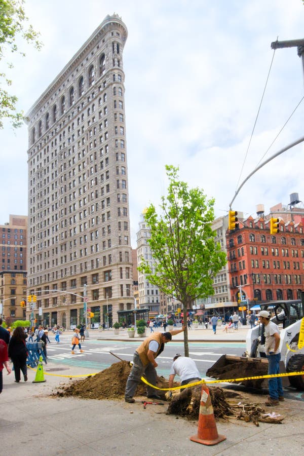 NYC Tree Planting editorial stock photo. Image of project - 24424063