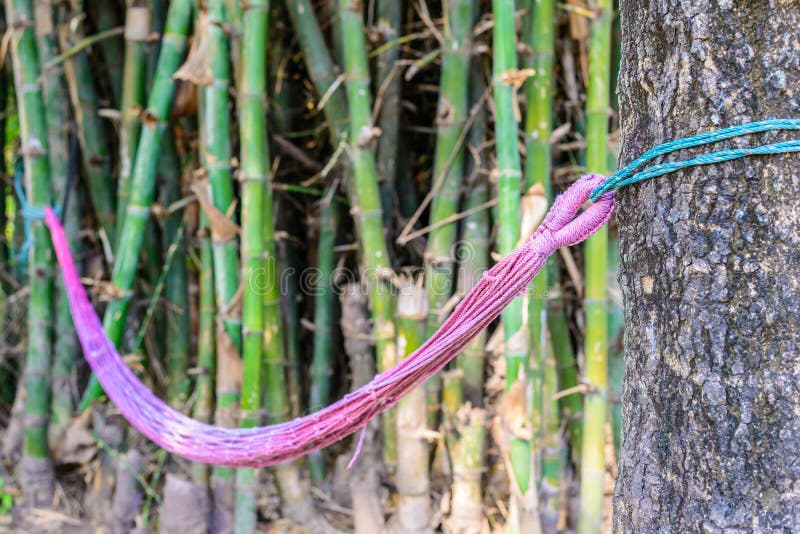 Nylon Cradle Under Tree and Bamboo Stock Photo - Image of sunlight ...