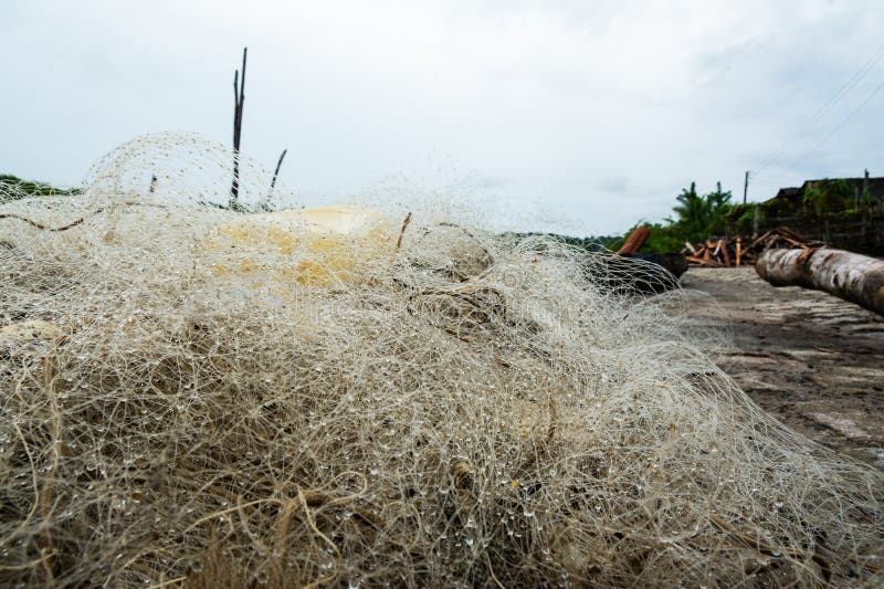 A Nylon Fishing Net Seen from Below. River Fishing Stock Photo - Image ...