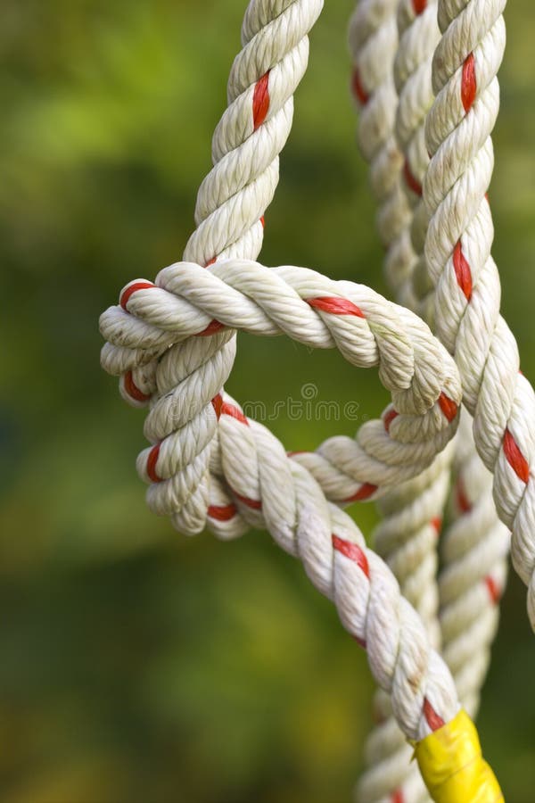 Nylon rope. stock image. Image of secure, lasso, white - 27471775
