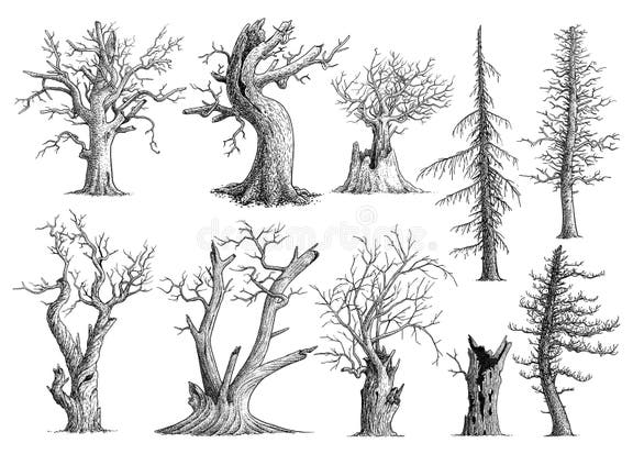 Pencil Drawing Dry Tree Stock Illustrations – 149 Pencil Drawing Dry ...