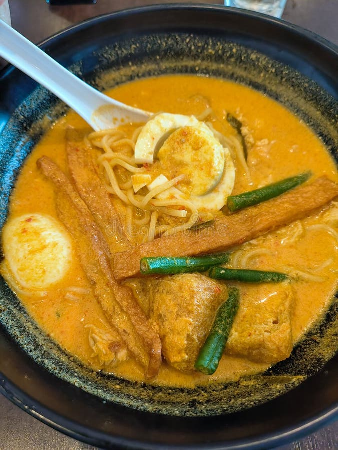 Nyonya Curry Mee stock photo. Image of cuisine, food - 259483172