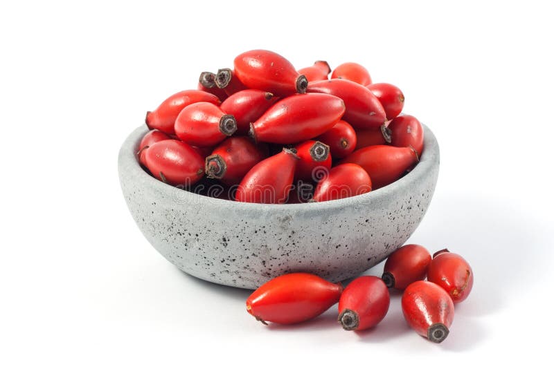 Nypon arkivfoto. Bild av kväva, höft, grön, växa, löv - 59787584