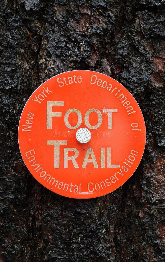 NYS DEC Orange Trail Marker at Hammond Hill State Forest Trail Stock ...