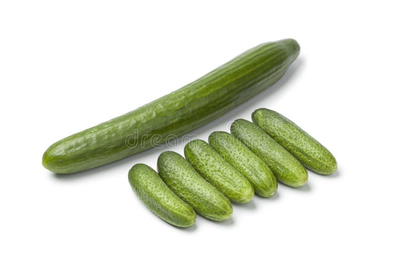 Nya mini- gurkor arkivfoto. Bild av litet, grön, finnigt - 34900758