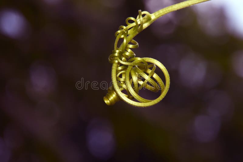 O Bigode Da Nuvem Com a Espiral Da Curva De Forma Com Fundo Natural ...