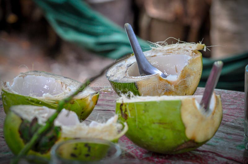 O Coco Do Termo Pode Referir a Palma De Coco Inteira Ou a Semente, Ou O ...