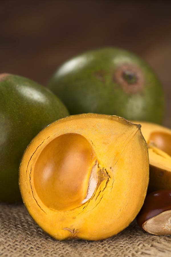 O Fruto Peruano Chamou Lucuma Foto de Stock - Imagem de peruana, meio ...