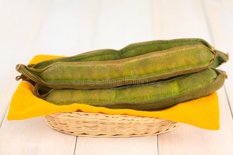 O Fruto Peruano Chamou Pacay Foto de Stock - Imagem de peruana, maduro ...