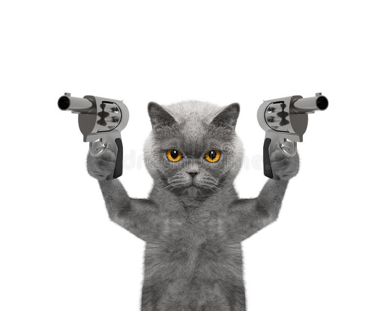 O Gato Com Armas é Assassino Foto de Stock - Imagem de pets, fofofo ...