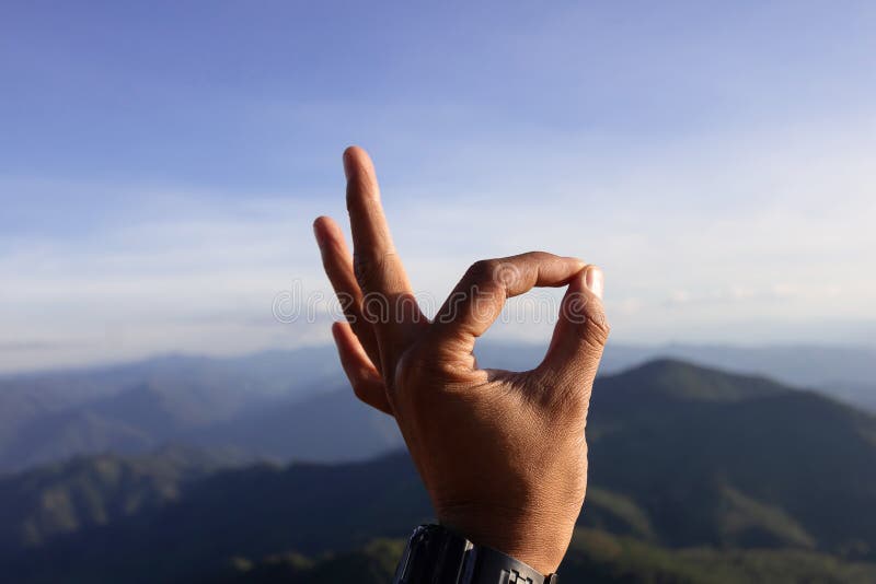 O.K Symbol of the hand stock photo. Image of pine, bush - 134686852