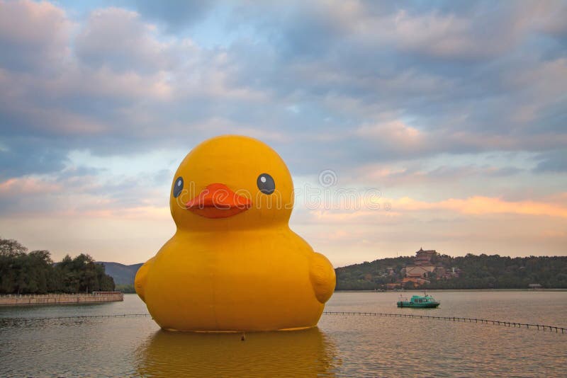 O Lago Kunming E O Pato Amarelo Grande Foto de Stock - Imagem de ...