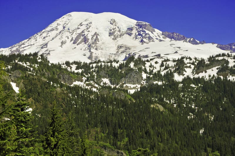 O Monte Rainier, Washington, EUA Imagem de Stock - Imagem de fundo ...