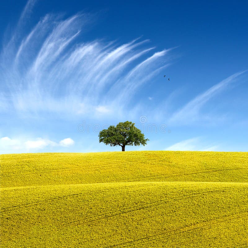 O mundo perfeito imagem de stock. Imagem de bonito, nublado - 44659975