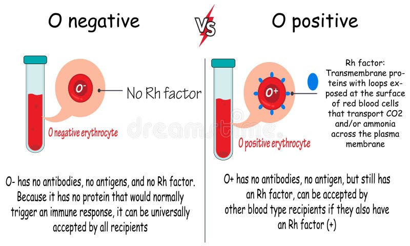 O Negative Vs O Positive Blood: Key Differences, Rh Factor, and ...