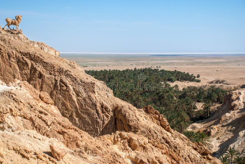 O Pico Da Montanha No Deserto Foto de Stock - Imagem de calor, africano ...