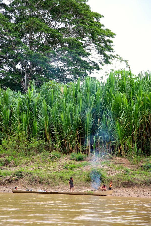 O rio de Beni imagem de stock editorial. Imagem de panorama - 92424324