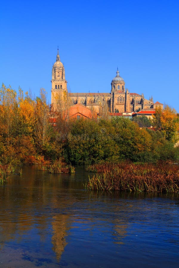 O Rio Tormes, Salamanca, Espanha Foto de Stock - Imagem de amarelo ...