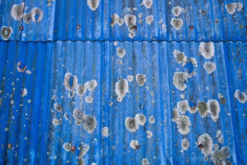 O Telhado Azul Sujo Do Zinco Foto de Stock - Imagem de fundo, parede ...