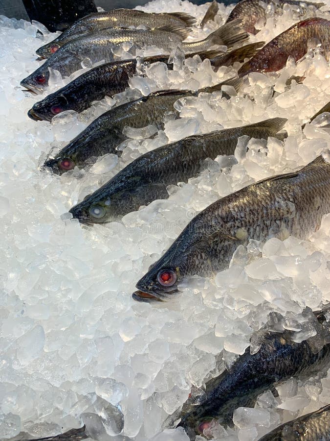 O Tipo De Peixe Com Gelo No Mercado Para Clientes Imagem de Stock ...